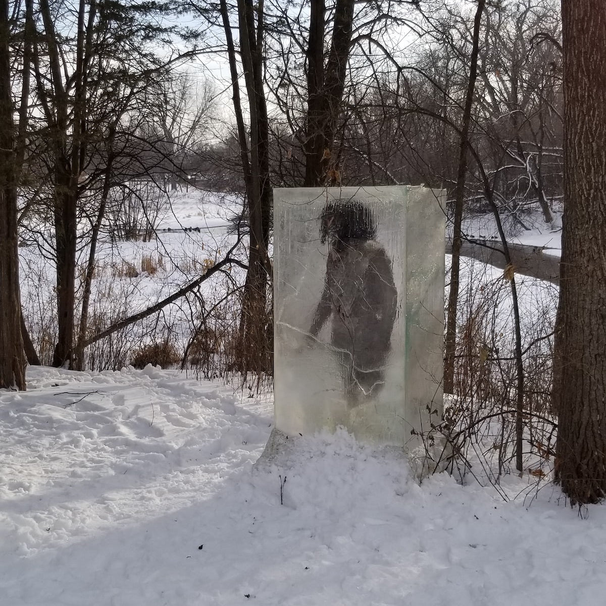 Cold Showers, Ice Baths and Sea Dips: What’s the Deal with Cold Exposu ...